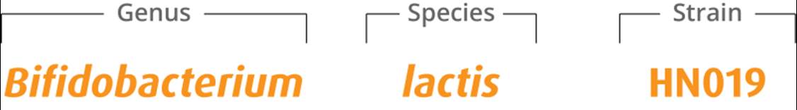 Bifidobacterium lactis HN019 | Database