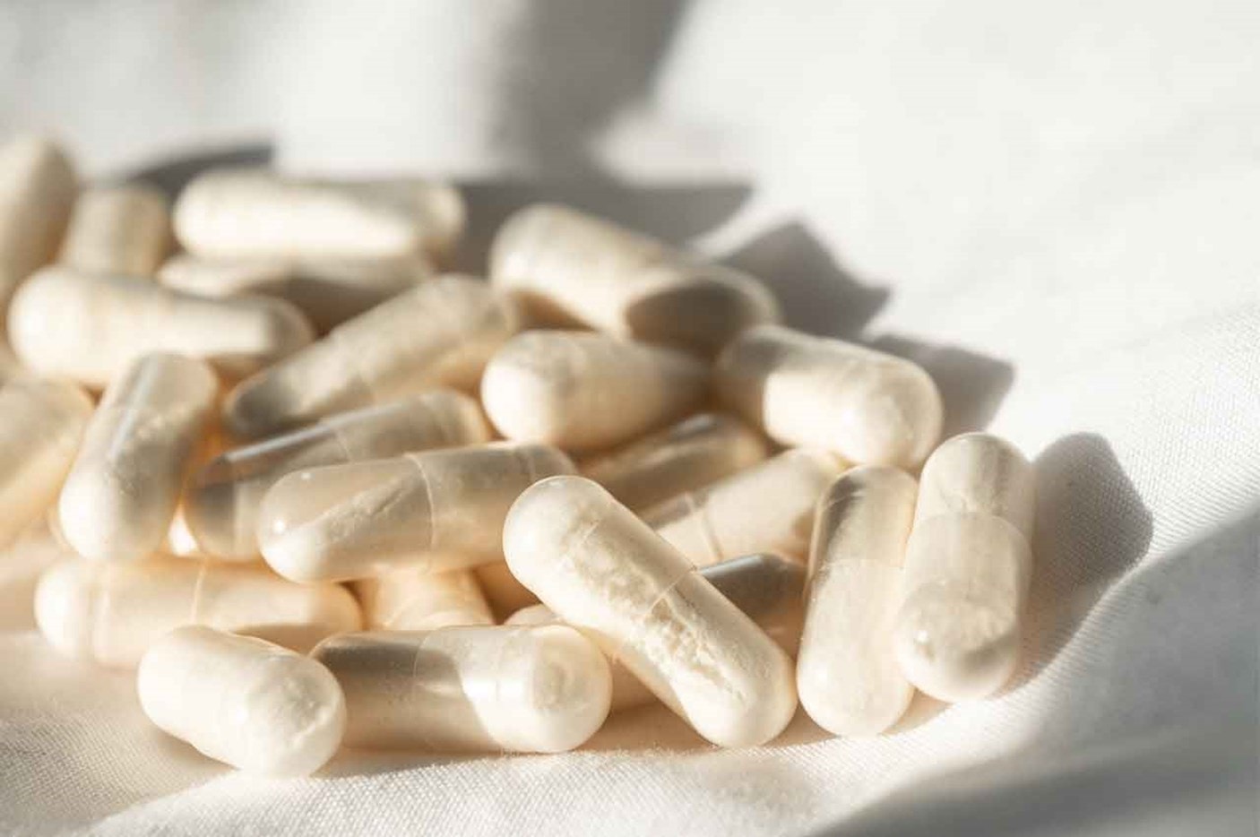 Lactobacillus: all you need to know