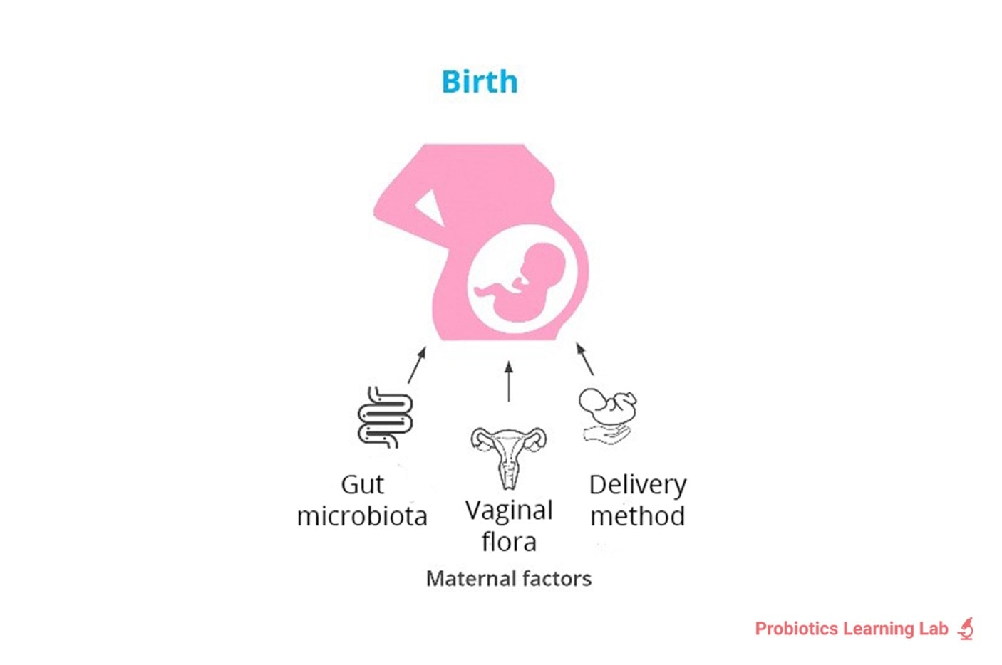 Probiotics for Pregnancy | Probiotics Learning Lab