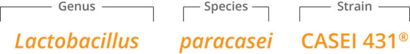 Lactobacillus paracasei CASEI 431® | Database