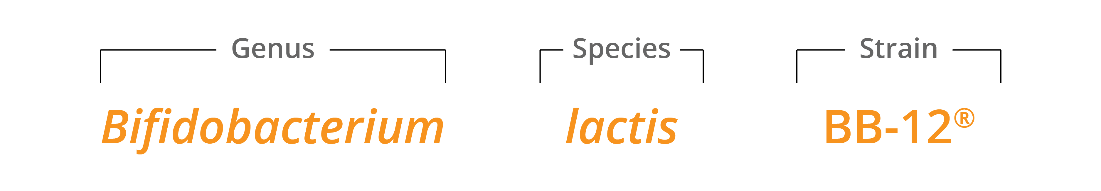 Bifidobacterium lactis BB-12® | Database